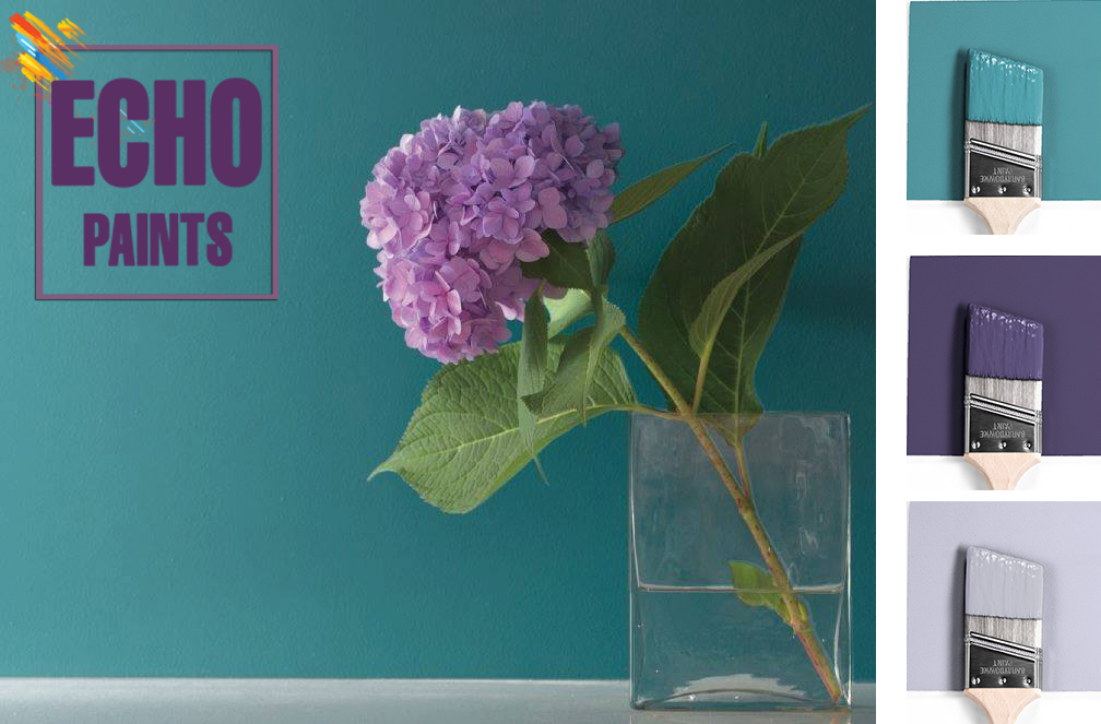 Echo paints decoration company - Color Idea